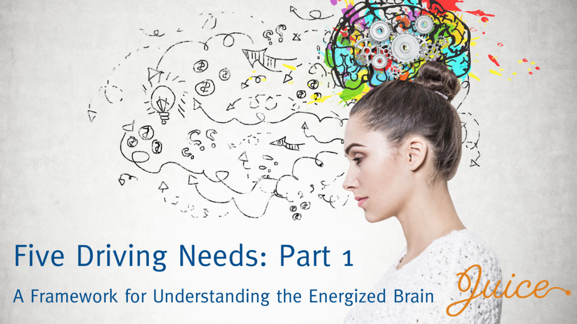 Five Driving Needs – Part 1 – A Framework for Understanding the ...